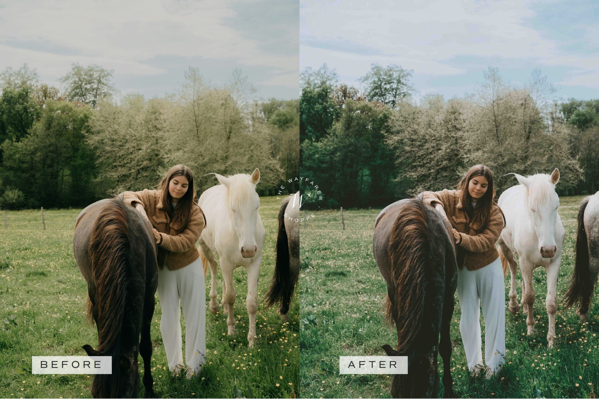 5 Forest Mobile Video Filters - The Wanderful Wayfarer