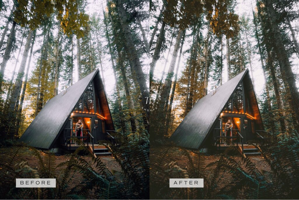 5 Forest Mobile Video Filters - The Wanderful Wayfarer