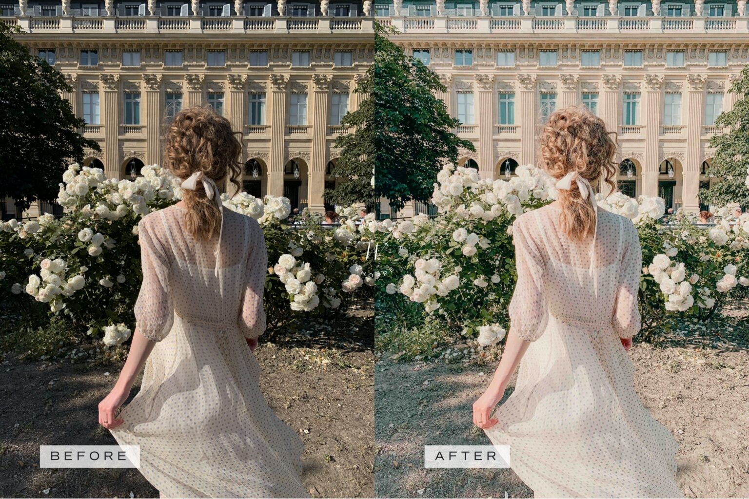 Aesthetics Lightroom Presets + Video Filters Bundle - The Wanderful ...